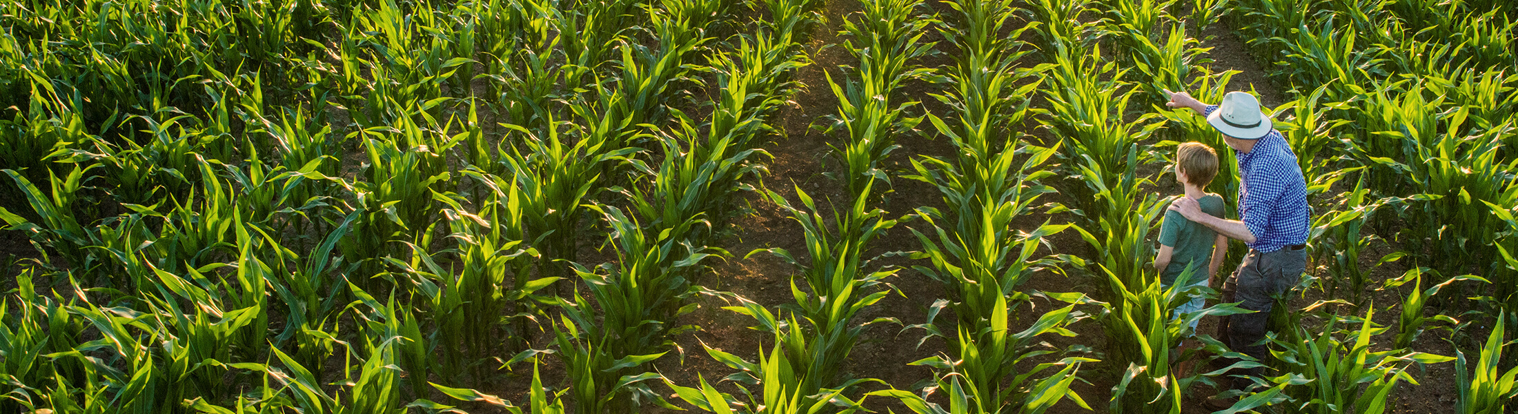 Health Plan Provider in SD | SDFB Health Plans